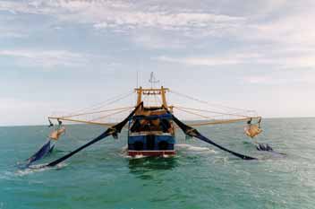 locating the lifting gear between the ted and codend ensures